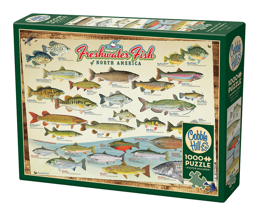 Freshwater Fish of North America 1000 Piece Jigsaw Puzzle by Cobble Hi