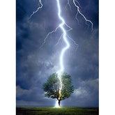 Lighting Striking Tree 1000 Piece Jigsaw Puzzle by Eurographics
